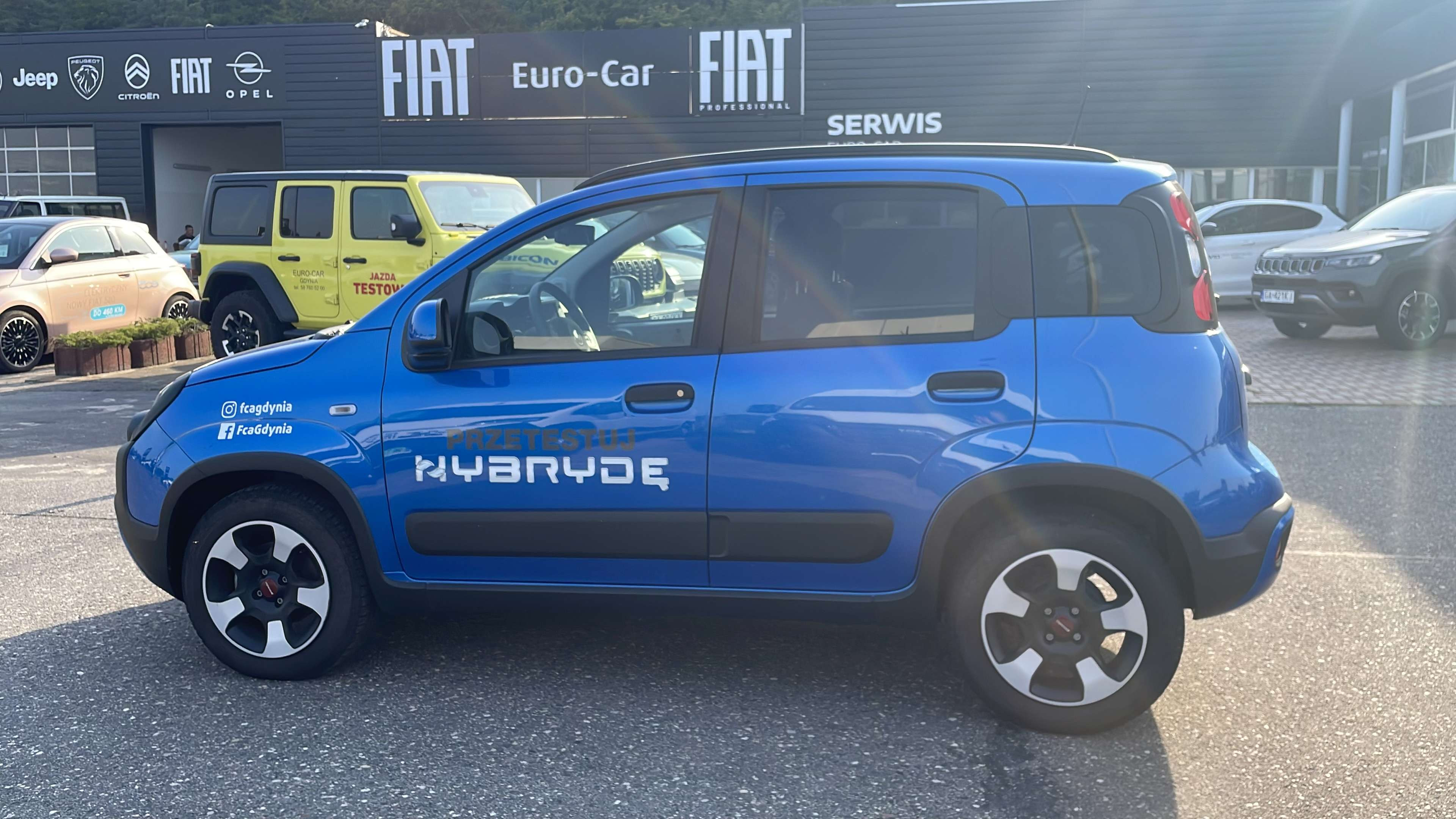 Fiat Panda MY23 Panda 1.0 70 KM Hybrid - Samochód dostępny u dealera ...