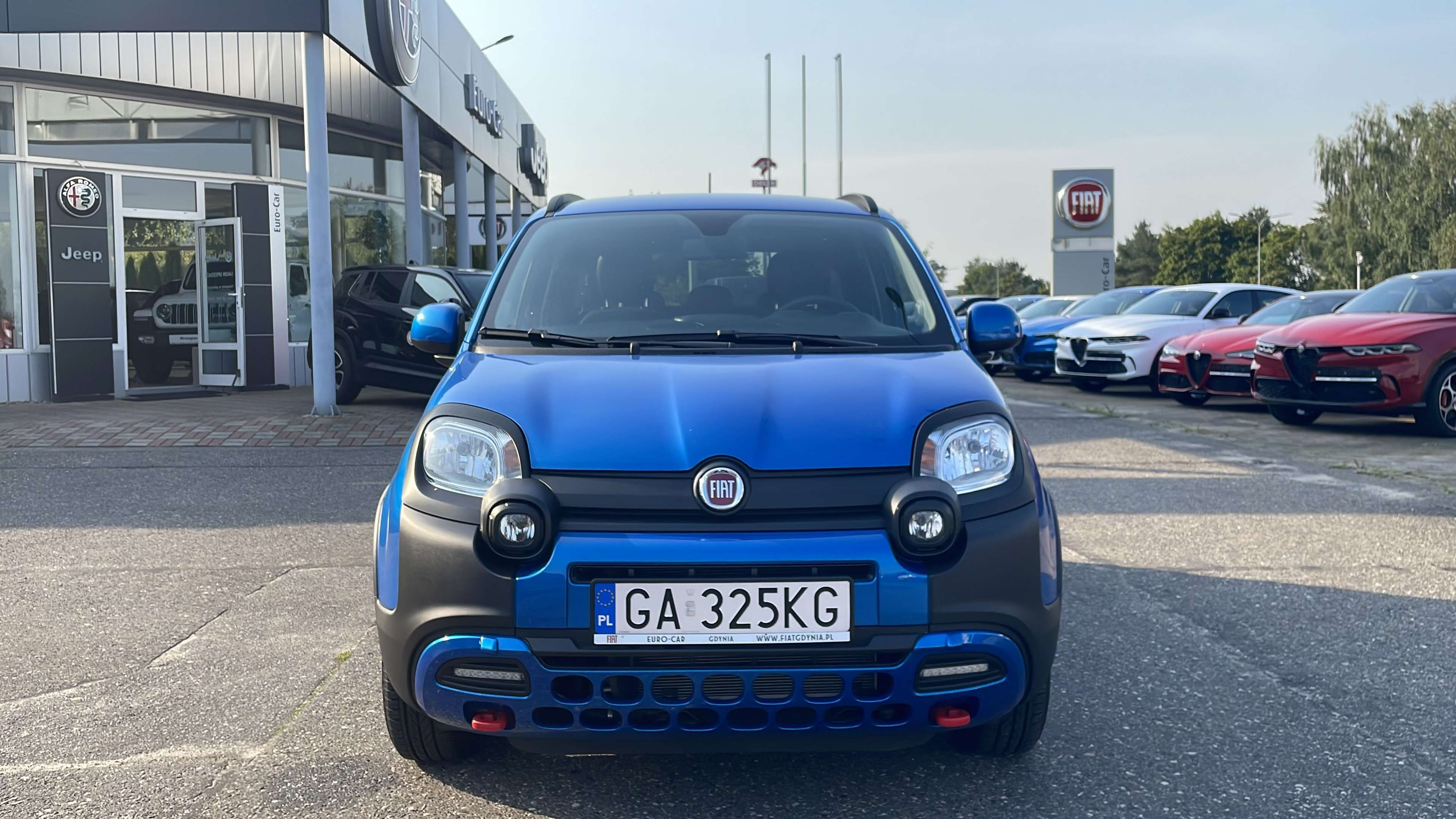 Fiat Panda MY23 Panda 1.0 70 KM Hybrid - Samochód dostępny u dealera ...